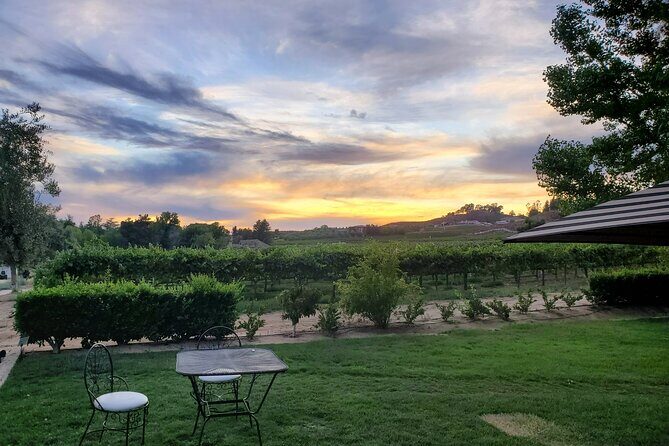 Guided Temecula Winery Tour - Who Should Book This Tour?
