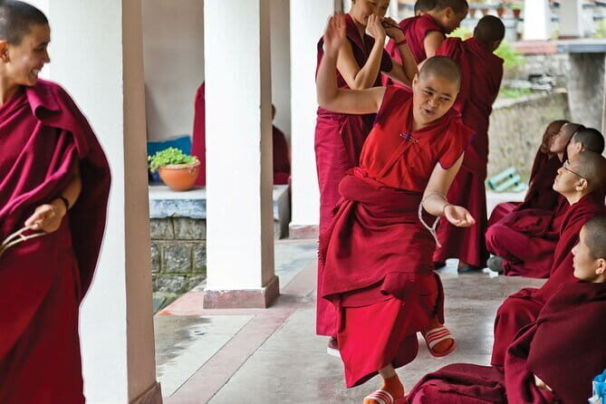 Guided Tibetan Culture Walk at Norbulingka,Gyuto and Nunnery - Who Will Benefit Most?