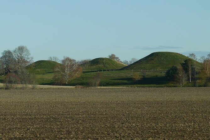 Guided tour 90min at Old Uppsala mounds and old Uppsala church - Exploring Old Uppsala: A Broader View