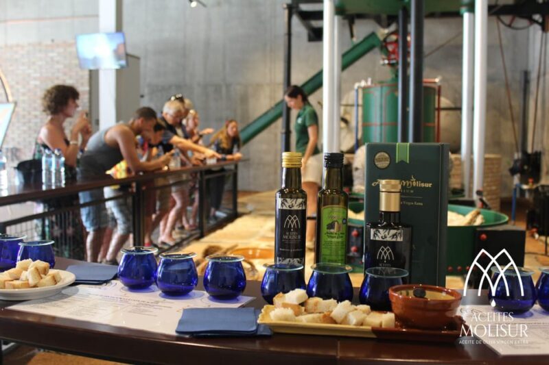 Guided tour and oil tasting at the Aceites Molisur factory - A Detailed Look at the Aceites Molisur Oil Factory Tour