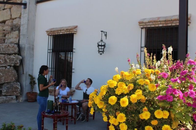 Guided tour and oil tasting at the Aceites Molisur factory - Who Should Consider This Tour?