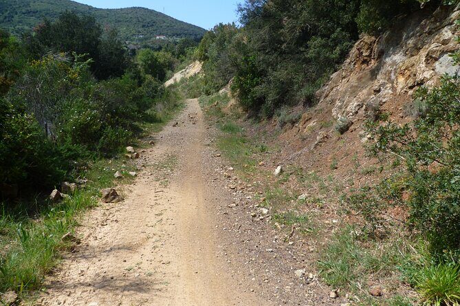 Guided Tour by E-Bike Rio Marina Mining Museum - What to Expect from This E-Bike Tour