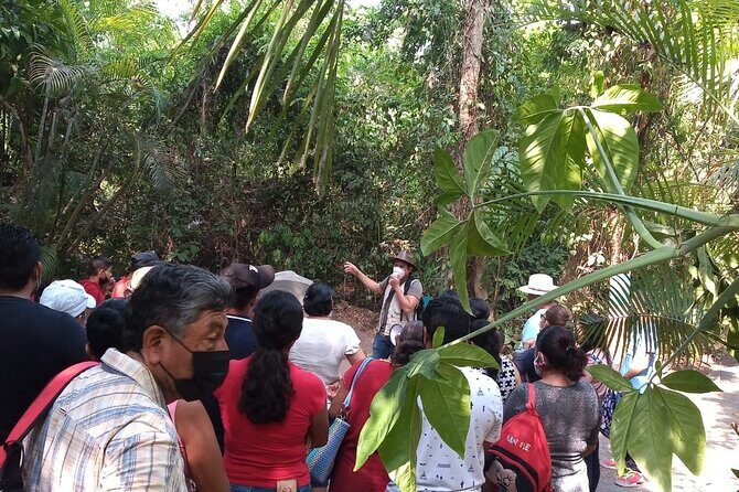 Guided Tour by the Olmec Stone Men - A Deep Dive into the Experience