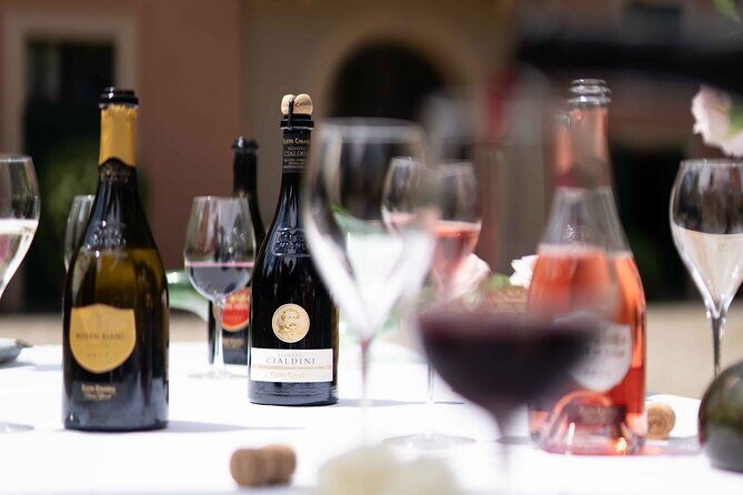 Guided Tour Cleto Chiarli with Lambrusco Tasting - Final Thoughts