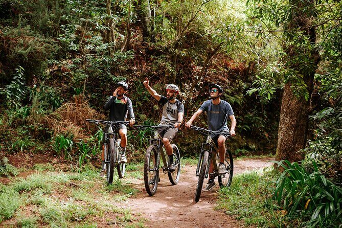 Guided Tour Electric Mountain Bike Experience - Introduction