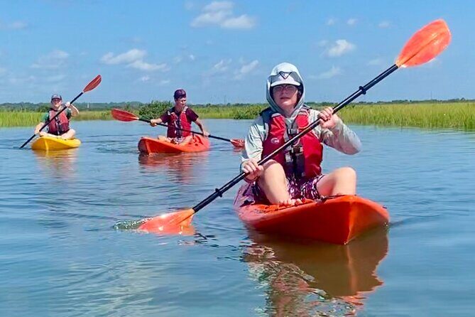 Guided Tour for Dolphin & Sea Turtle Observation in Saint Augustine, Florida - What We’re Celebrating