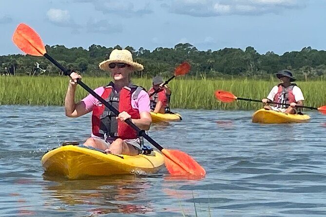 Guided Tour for Dolphin & Sea Turtle Observation in Saint Augustine, Florida - Who Should Consider This Tour?