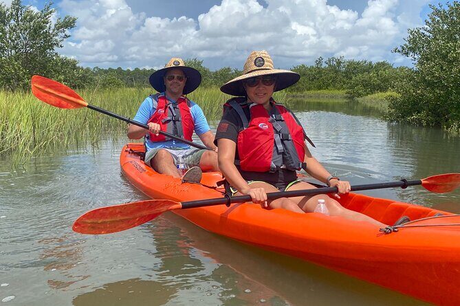 Guided Tour for Dolphin & Sea Turtle Observation in Saint Augustine, Florida - The Sum Up