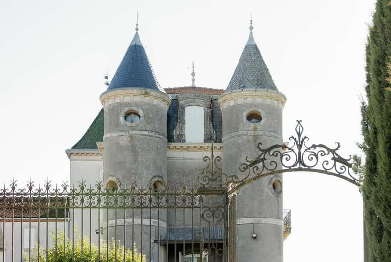 Guided tour from vine to glass - Discovering the Charm of a Guided Tour from Vine to Glass