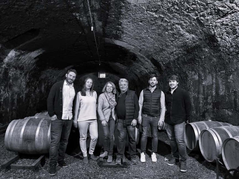 Guided tour from vine to glass - The Real Value of This Experience
