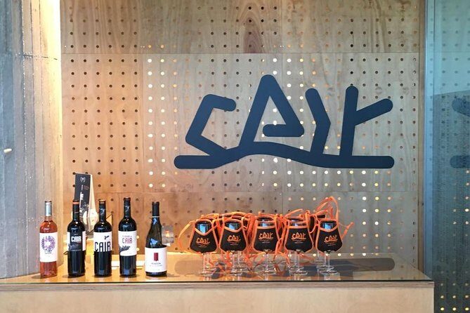Guided tour glass in hand with wine tasting directly from the barrel - Why This Wine Tour Offers More Than Just Tasting
