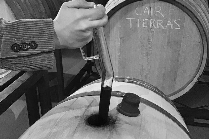 Guided tour glass in hand with wine tasting directly from the barrel - Authentic and Personal Experience