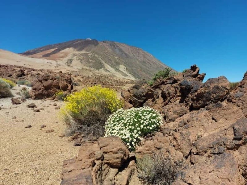 Guided tour guide through Roques de Garcia - Teide National Park - Key Points