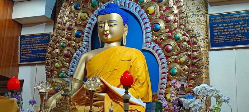 Guided Tour: Himachal Heritage - Art, Tea, Pottery & Culture - A Detailed Look at the Himachal Heritage Tour