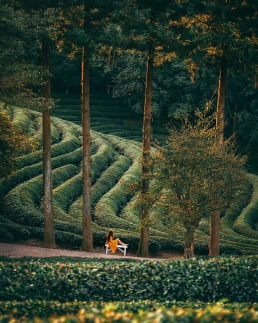 Guided Tour: Himachal Heritage - Art, Tea, Pottery & Culture - Final Thoughts