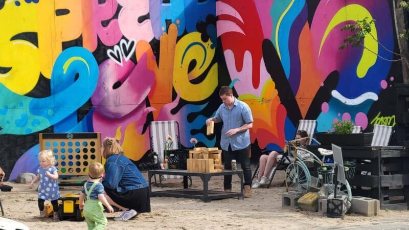 Guided tour in French of Brooklyn Bushwick and Williamsburg - Panoramic Views and Local Art