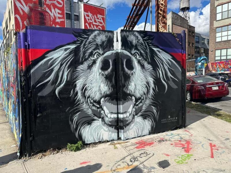 Guided tour in French of Brooklyn Bushwick and Williamsburg - The Sum Up