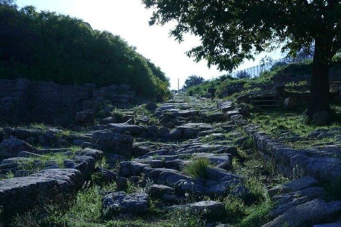 Guided Tour in Morgantina. Visit Morgantina. - FAQ