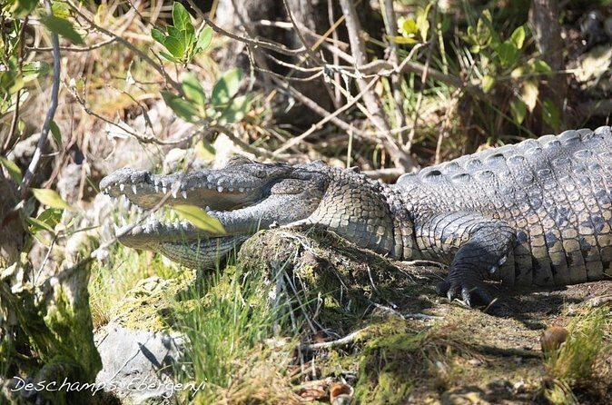 Guided Tour in Sian Ka'an Flora and Fauna Reserve - Final Thoughts