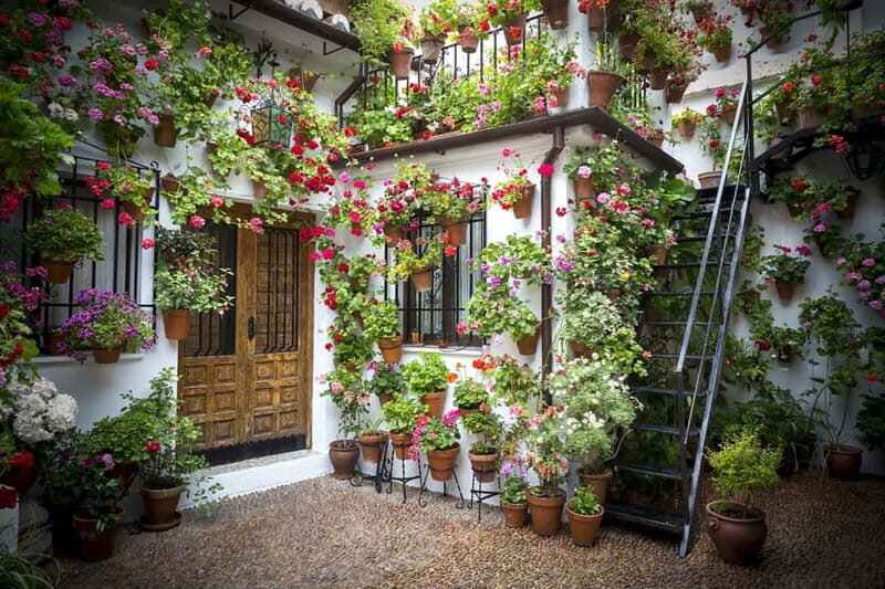 Guided tour in Spanish to the courtyards of Córdoba - Key Points