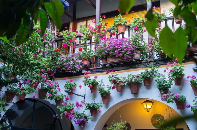 Guided tour in Spanish to the courtyards of Córdoba - A detailed look at the Córdoba courtyard tour