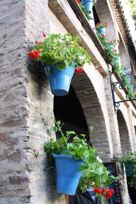Guided tour in Spanish to the courtyards of Córdoba - Final thoughts