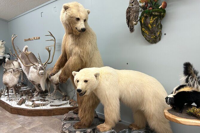 Guided Tour in Wildlife Gallery - Introducing the Guided Tour in Wildlife Gallery