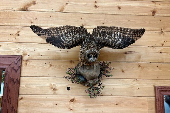 Guided Tour in Wildlife Gallery - Key Points