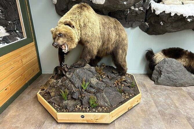 Guided Tour in Wildlife Gallery - Who Will Love This Tour?