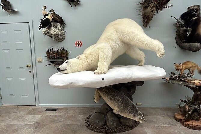 Guided Tour in Wildlife Gallery - FAQ