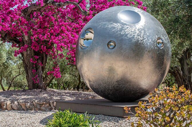 Guided tour Museum of Contemporary Art and Sculpture Park - Key Points