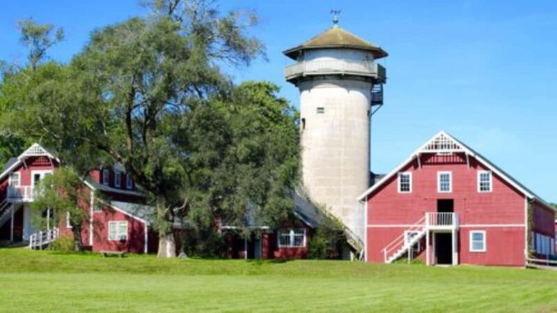 Guided Tour of a Local New England Cranberry Farm - An Inside Look at the Tour Experience