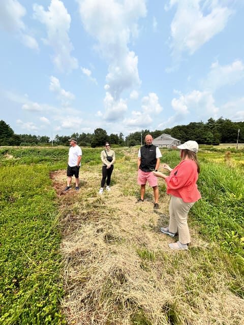 Guided Tour of a Local New England Cranberry Farm - Who Will Love This Tour?