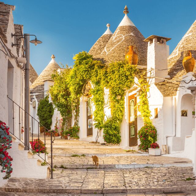 Guided Tour of Alberobello Trulli with Transfer included - The Pick-Up and Transportation