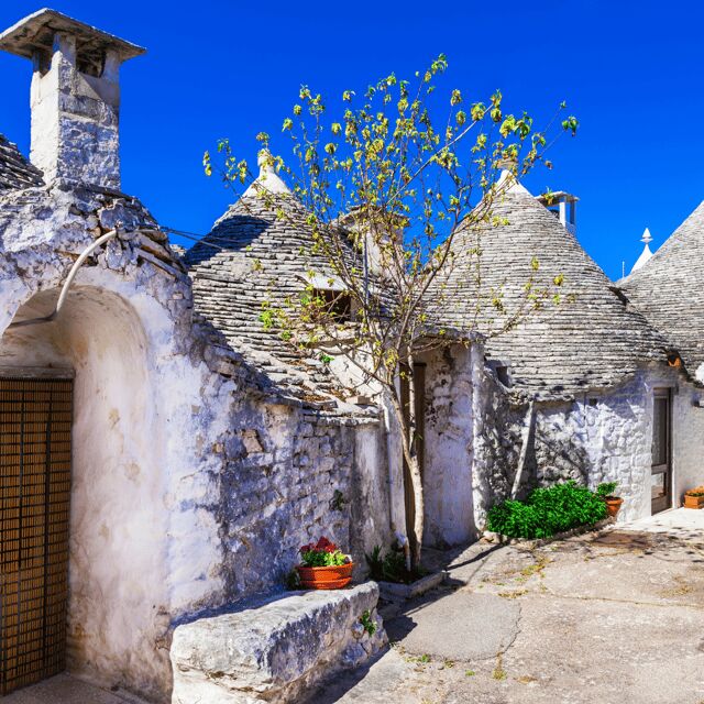 Guided Tour of Alberobello Trulli with Transfer included - Free Time for Shopping and Lunch