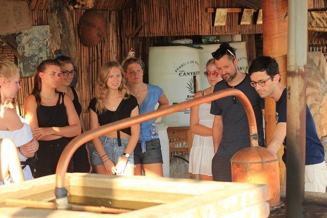 Guided tour of an ancestral Mezcal distillery with transport - The Journey Begins: Pickup and Arrival