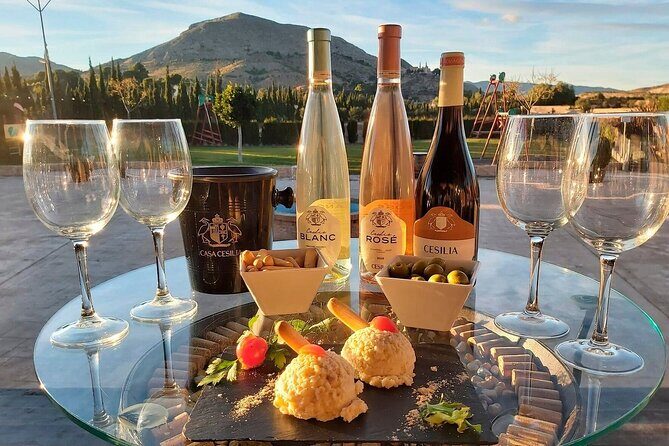 Guided Tour Of An Old Winery with Tasting from Alicante and Elche - What the Reviews Say