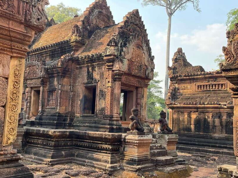 Guided Tour of Angkor Wat, Bayon, Ta Prohm, and Banteay Srei - Key Points
