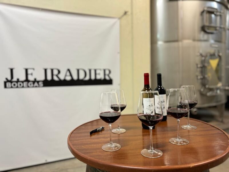 Guided tour of Bodegas J.F. Iradier, Rioja Alavesa - Guided tour of Bodegas J.F. Iradier, Rioja Alavesa