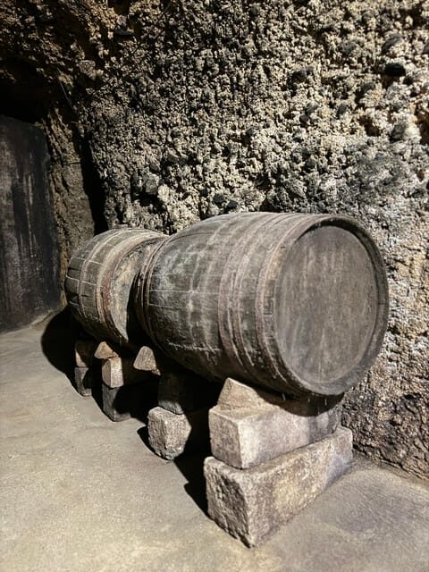 Guided tour of Bodegas J.F. Iradier, Rioja Alavesa - The charm of Bodegas J.F. Iradier: a walk through tradition and innovation