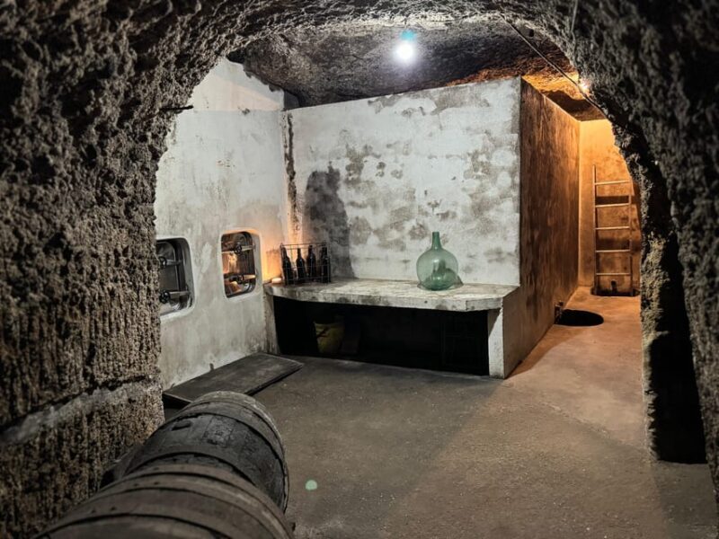 Guided tour of Bodegas J.F. Iradier, Rioja Alavesa - Visualize the experience