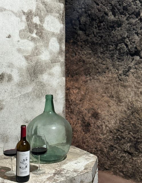 Guided tour of Bodegas J.F. Iradier, Rioja Alavesa - Who will love this experience?