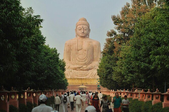Guided Tour of Bodhgaya Temples and Buddha Sites - Key Points