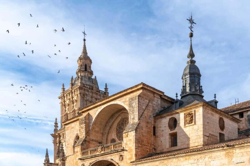 Guided tour of Burgo de Osma (by ECO-BUS) - Introduction