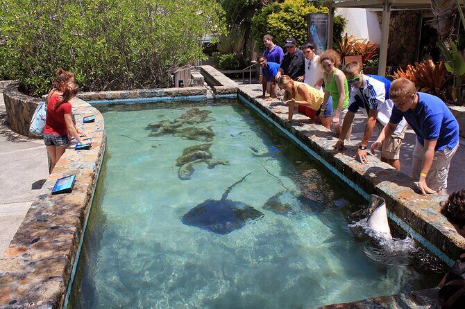 Guided Tour of Coral World Ocean Park & Happy Hour - An In-Depth Look at the Tour Experience