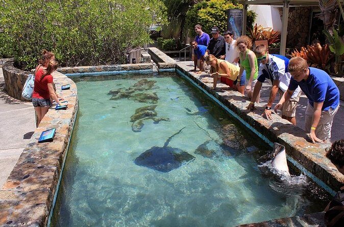 Guided Tour of Coral World Ocean Park & Happy Hour - Practical Details & Tips