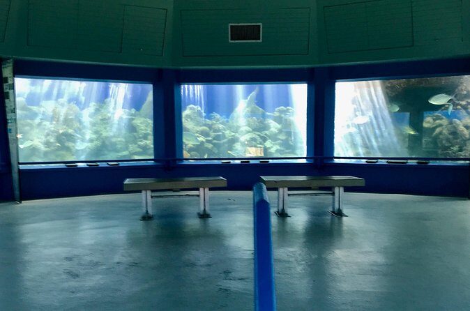 Guided Tour of Coral World Ocean Park & Happy Hour - Who Will Enjoy This Tour?