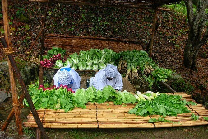 Guided Tour of Hida Folk Village - What Travelers Can Expect