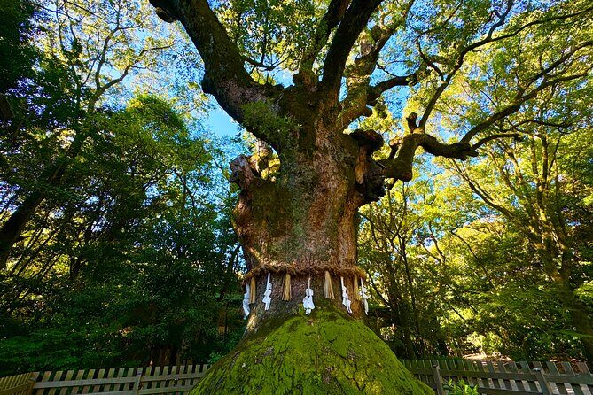 Guided Tour of Historic Atsuta Shrine and Sword Museum - Practical Details and Considerations