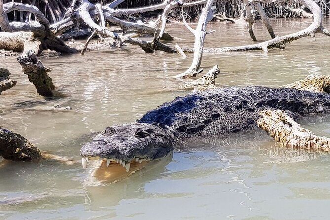 Guided Tour Of Las Coloradas, Rio Lagartos And See Crocodiles - FAQ